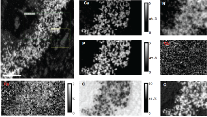 Gatan Microscopy Suite Software | Gatan, Inc.